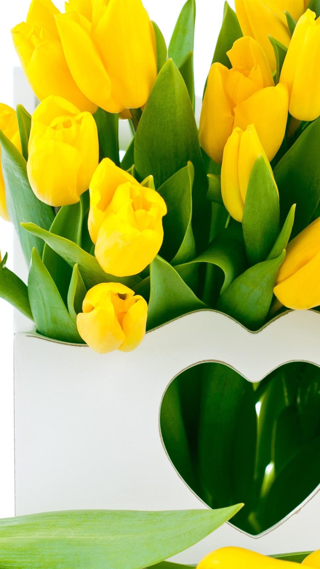Yellow Tulips Wallpapers - Top Free Yellow Tulips Backgrounds ...