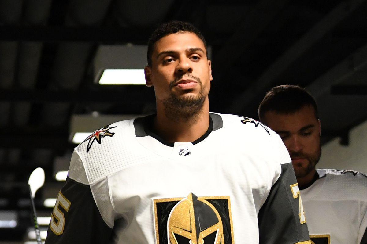 Ryan Reaves Wallpapers - Top Free Ryan Reaves Backgrounds - WallpaperAccess