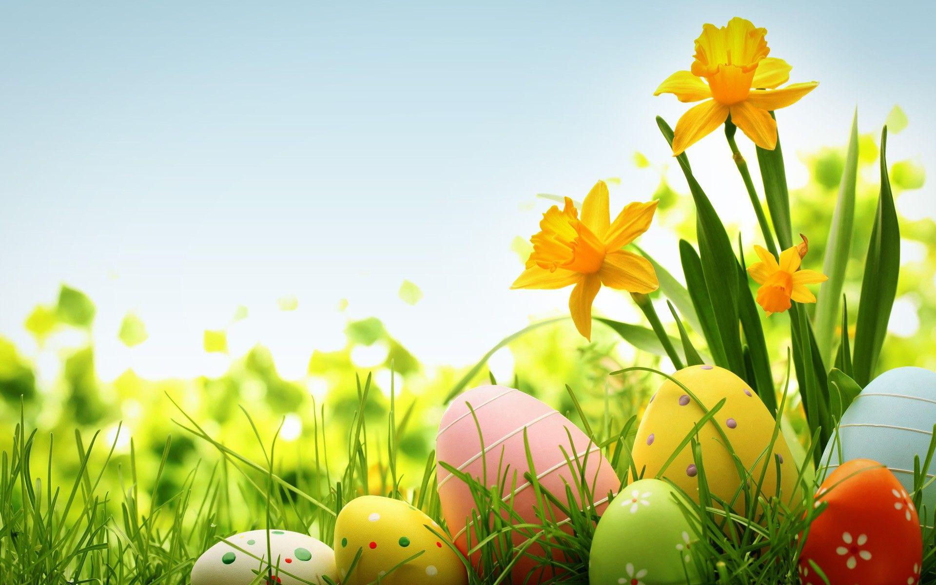 Easter 4K Wallpapers - Top Free Easter 4K Backgrounds - WallpaperAccess