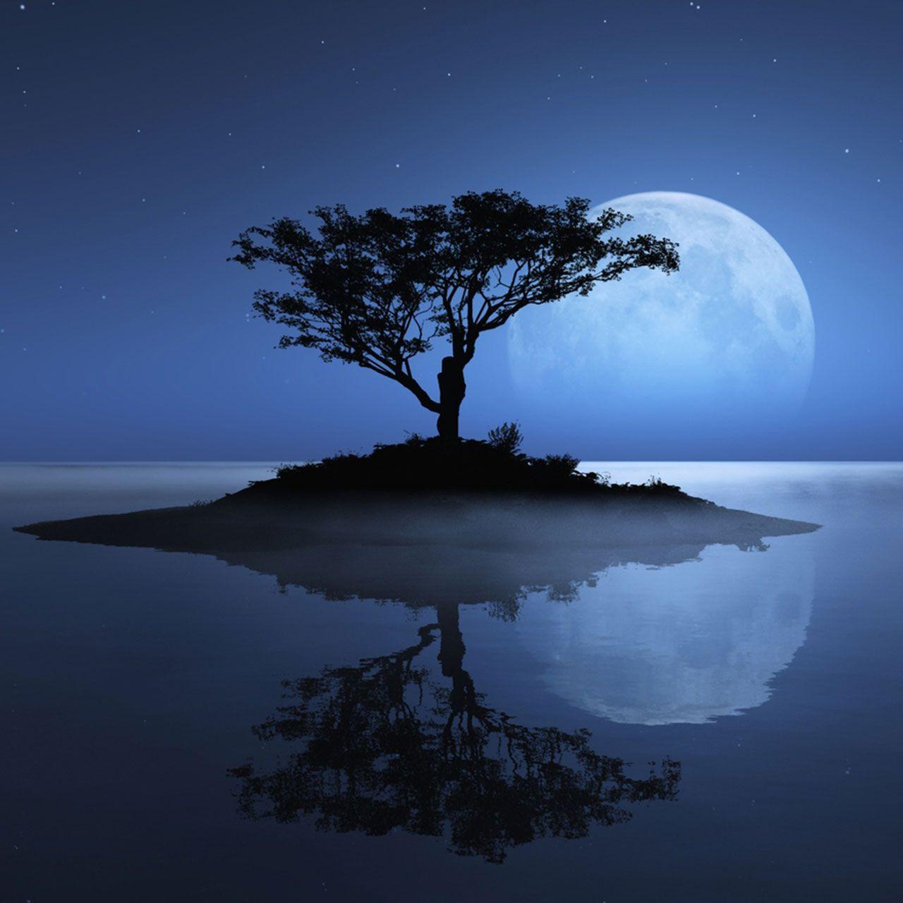 Fujitsu Wallpapers - Top Free Fujitsu Backgrounds - WallpaperAccess