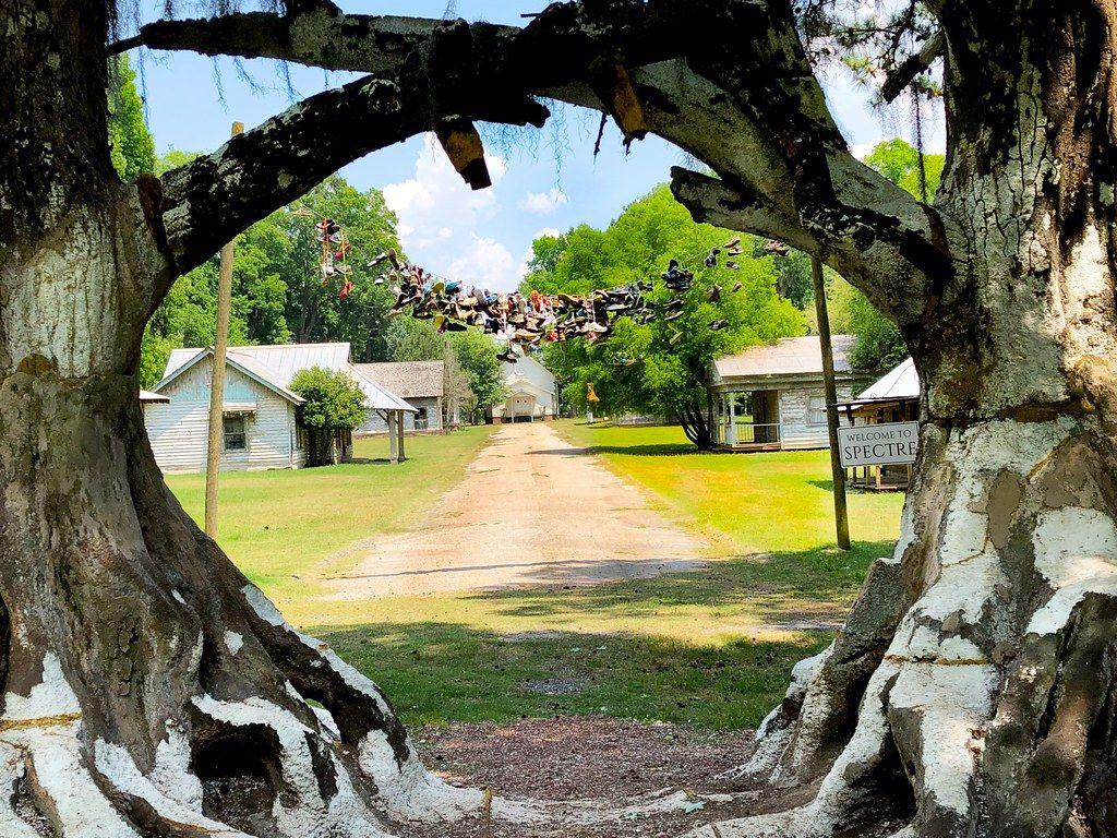 Big Fish Movie Wallpapers - Top Free Big Fish Movie Backgrounds ...