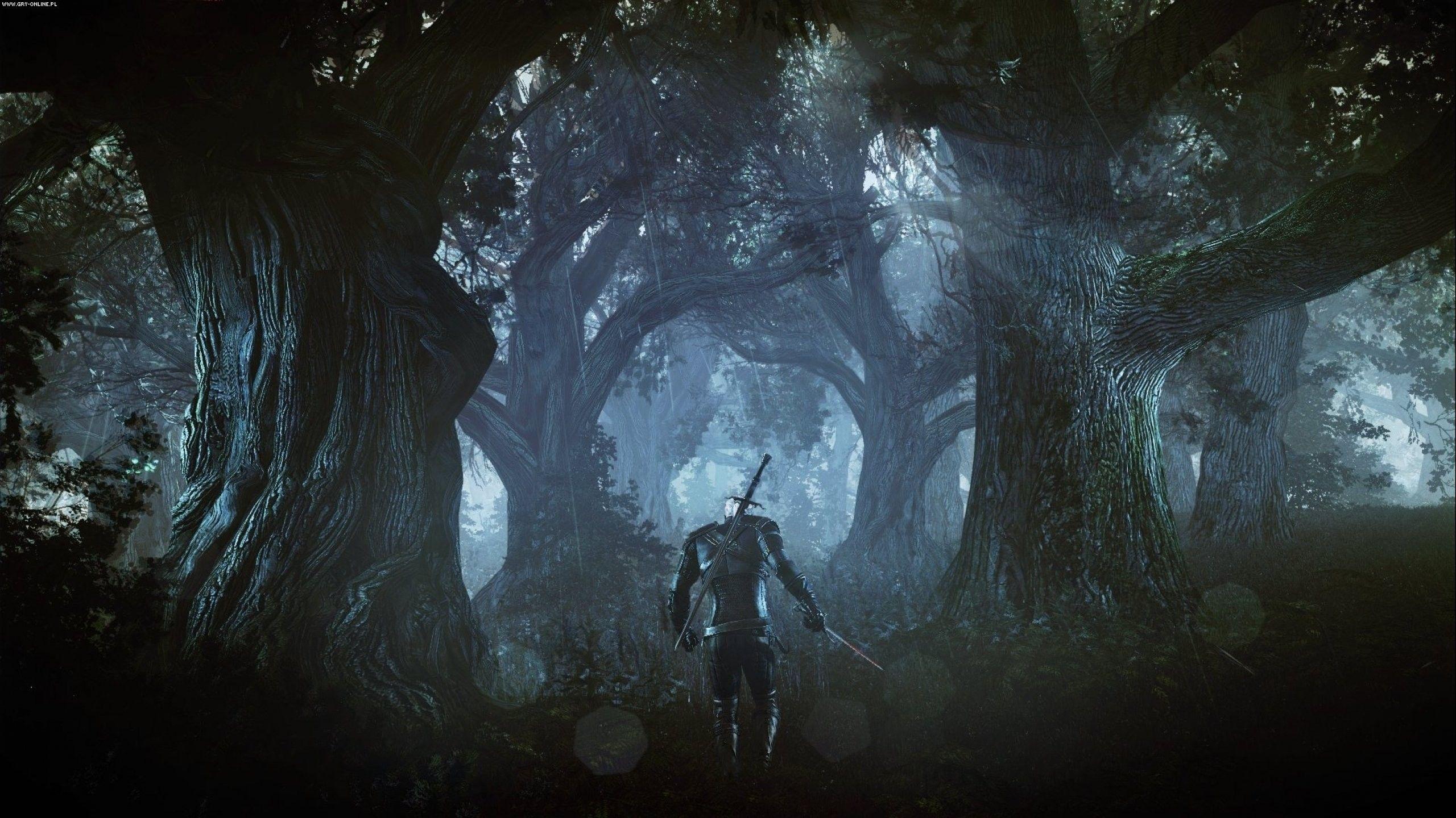 Dark Witcher Wallpapers - Top Free Dark Witcher Backgrounds ...