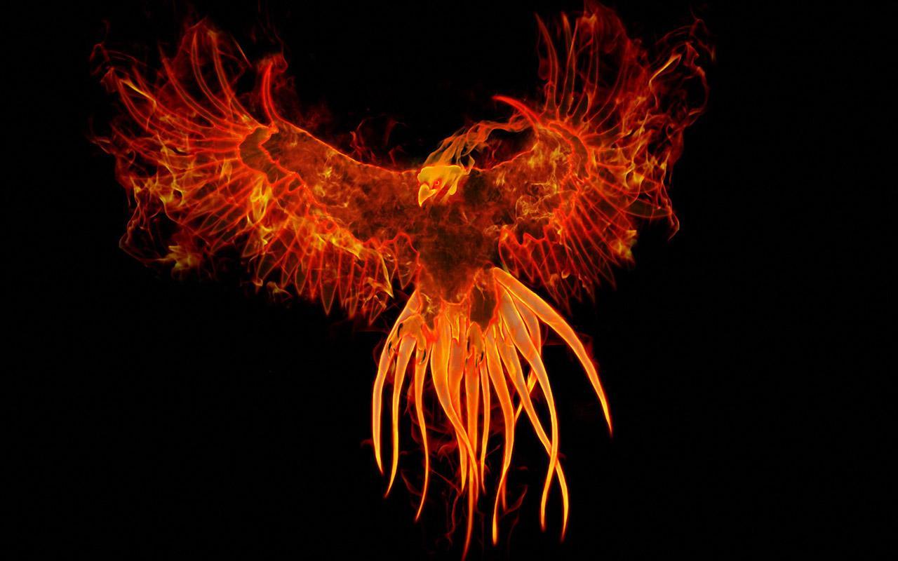 Phoenix Wallpapers - Top Free Phoenix Backgrounds - WallpaperAccess