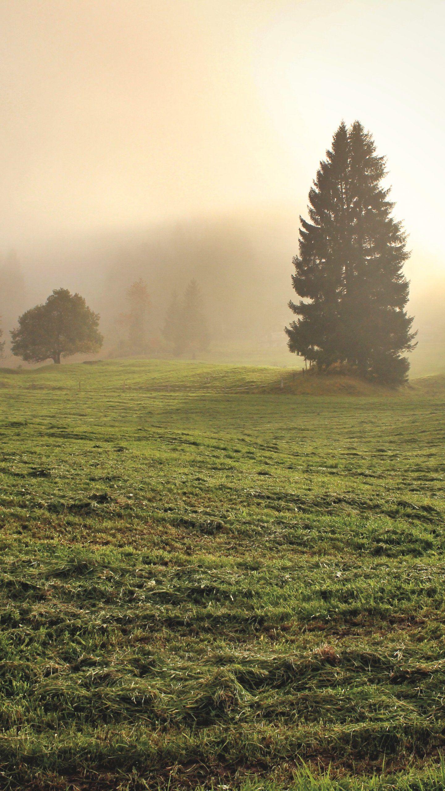 Light Phone Wallpapers - Top Free Light Phone Backgrounds - WallpaperAccess