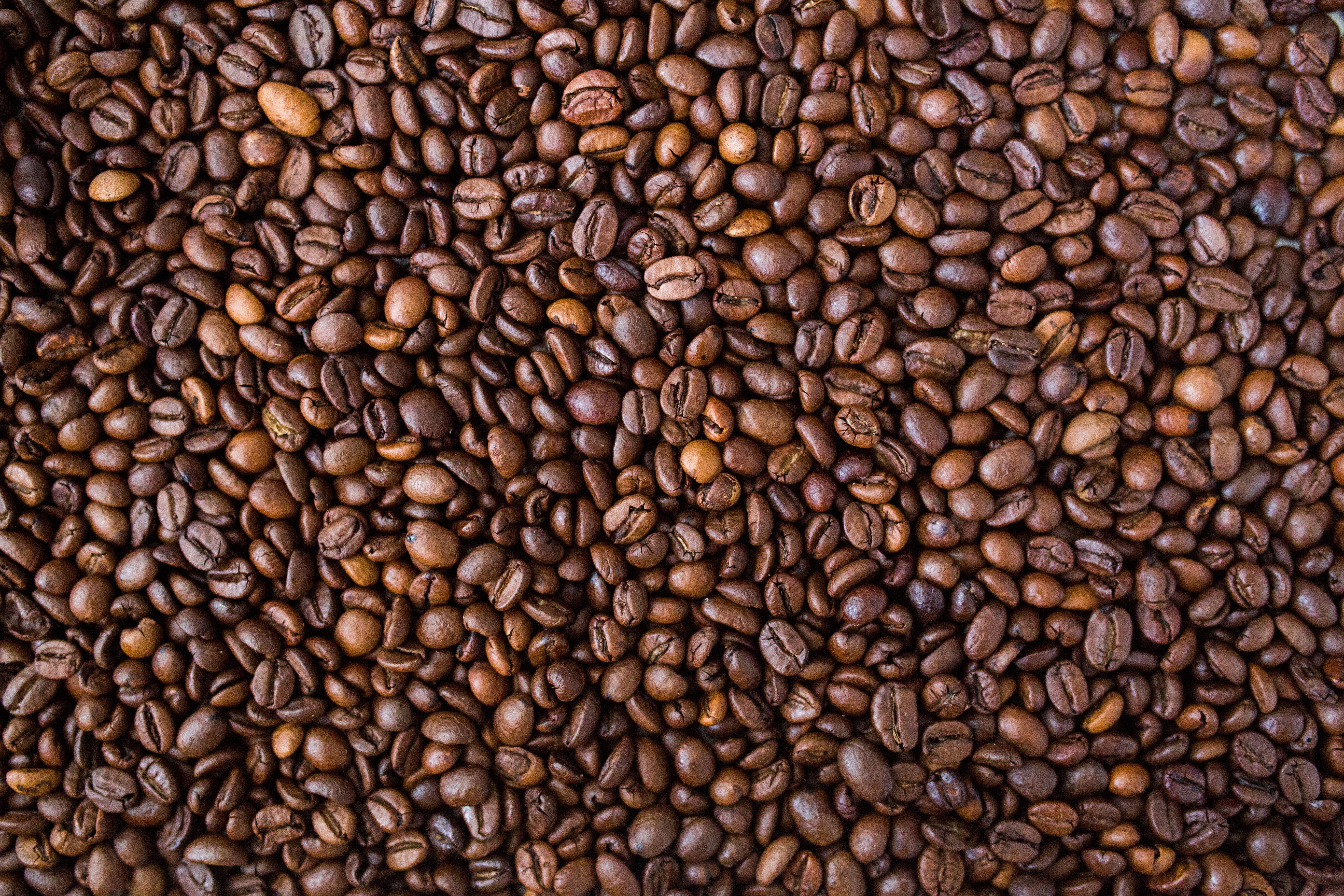 Coffee Beans Wallpapers - Top Free Coffee Beans Backgrounds ...