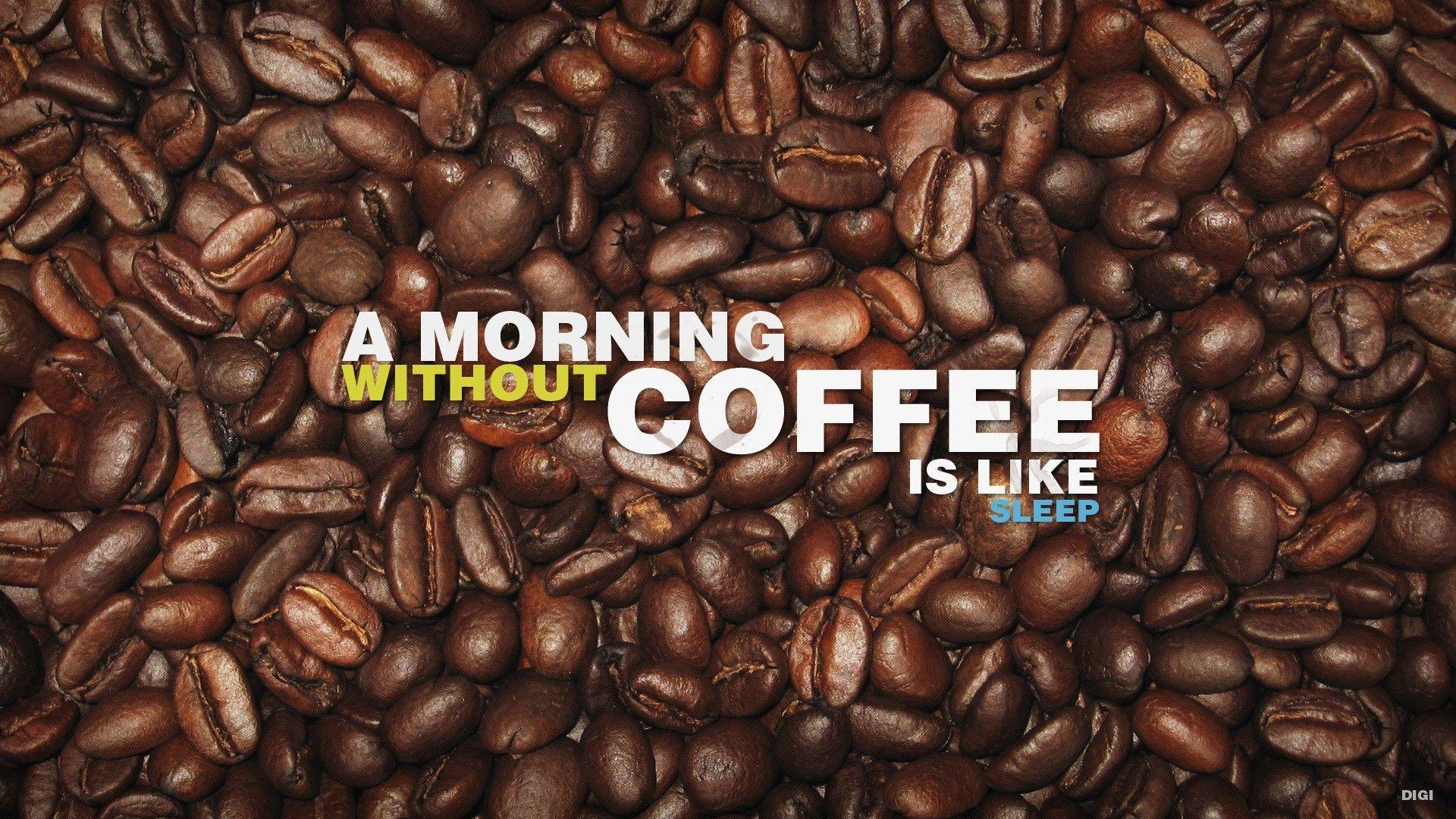 Funny Coffee Wallpapers - Top Free Funny Coffee Backgrounds ...