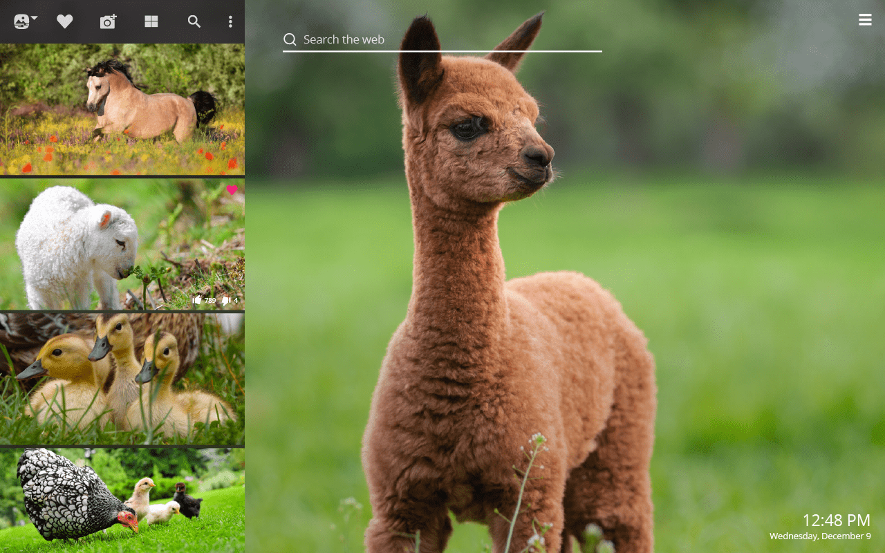 Cute Baby Animal Farm Wallpapers - Top Free Cute Baby Animal Farm Backgrounds - WallpaperAccess