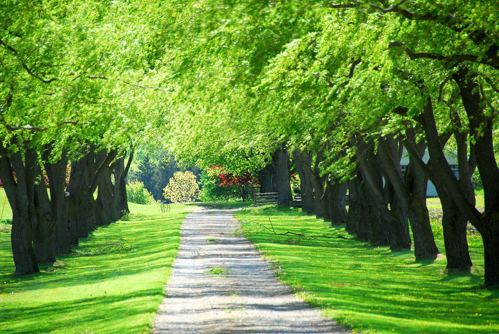 Landscape Scenery Wallpapers - Top Free Landscape Scenery Backgrounds ...