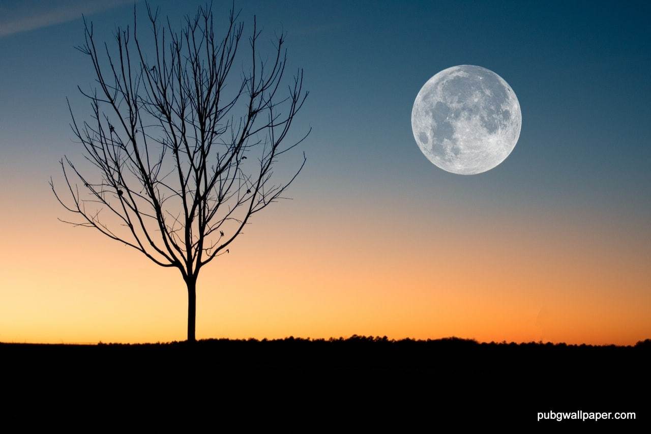 Full Screen Desktop Wallpapers - Top Free Full Screen Desktop ...