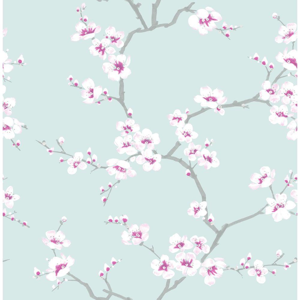 Apple Blossom Wallpapers - Top Free Apple Blossom Backgrounds ...