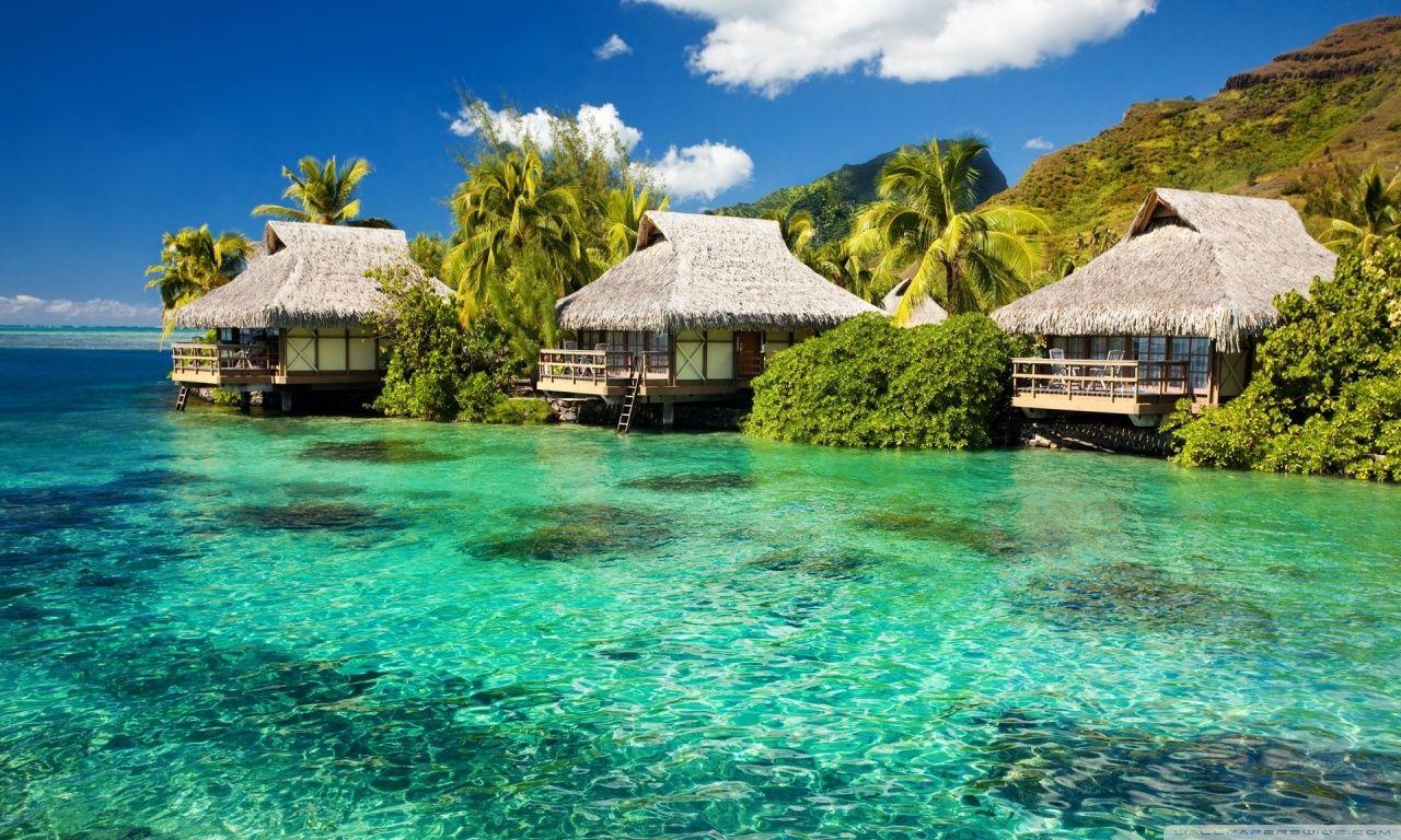 1280X768 Wallpapers - Top Free 1280X768 Backgrounds - WallpaperAccess