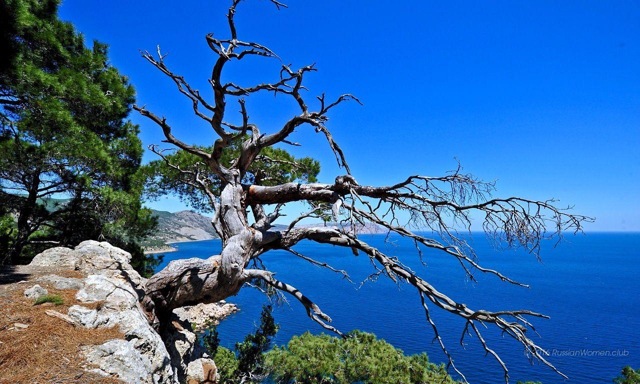 1280X768 Wallpapers - Top Free 1280X768 Backgrounds - WallpaperAccess