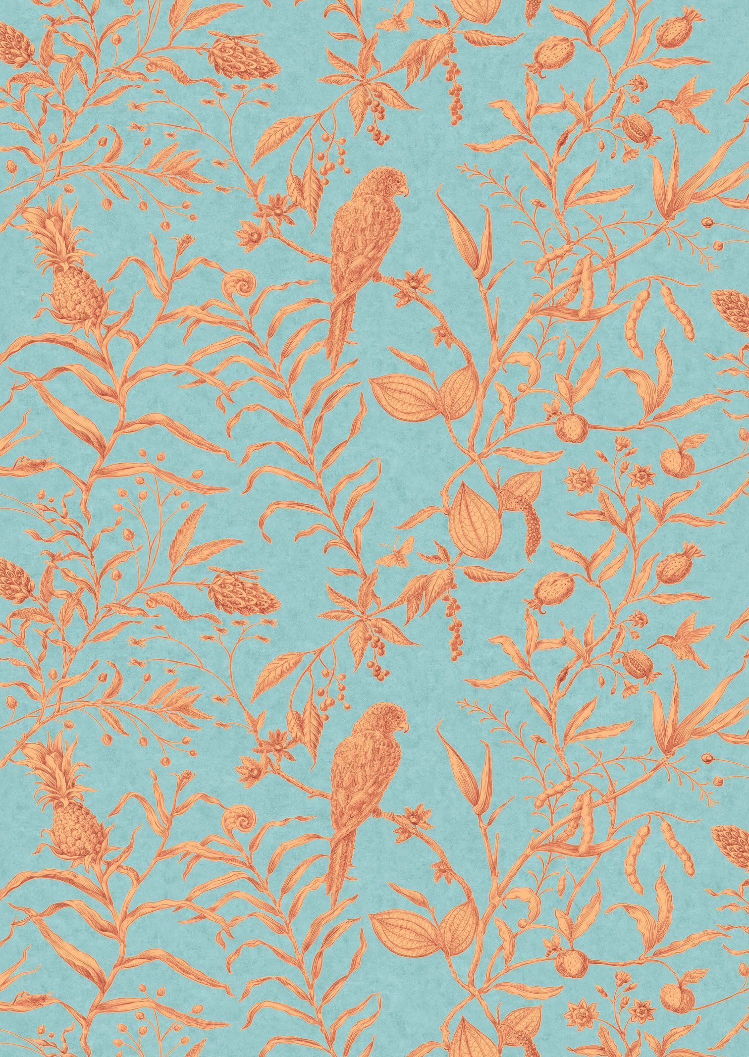Jaffa Wallpapers - Top Free Jaffa Backgrounds - WallpaperAccess