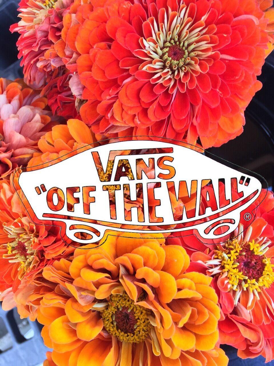 Vans Of The Wall Wallpapers - Top Free Vans Of The Wall Backgrounds ...