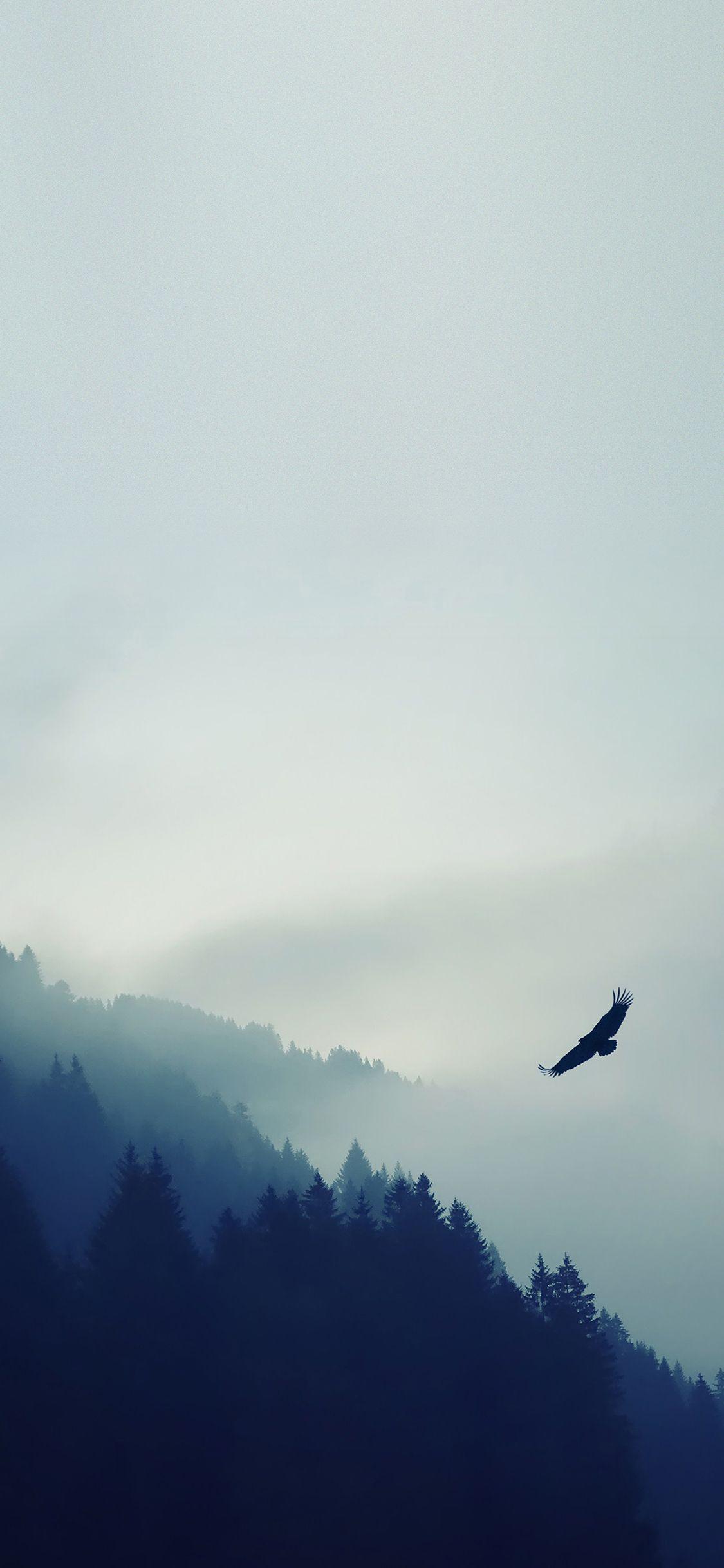 Eagle iPhone Wallpapers - Top Free Eagle iPhone Backgrounds - WallpaperAccess