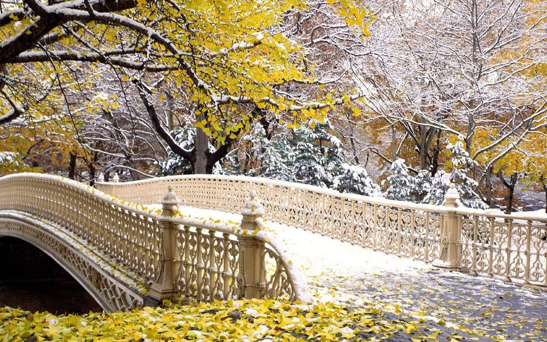Autumn Snow Wallpapers - Top Free Autumn Snow Backgrounds - WallpaperAccess