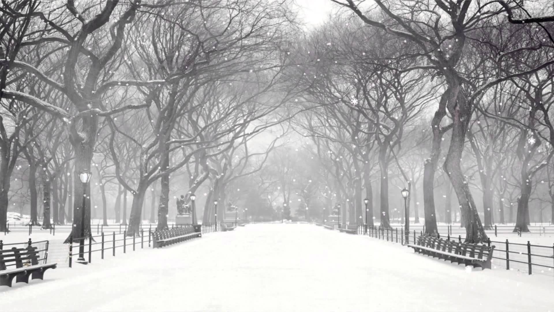 Central Park Snow Wallpapers - Top Free Central Park Snow Backgrounds ...