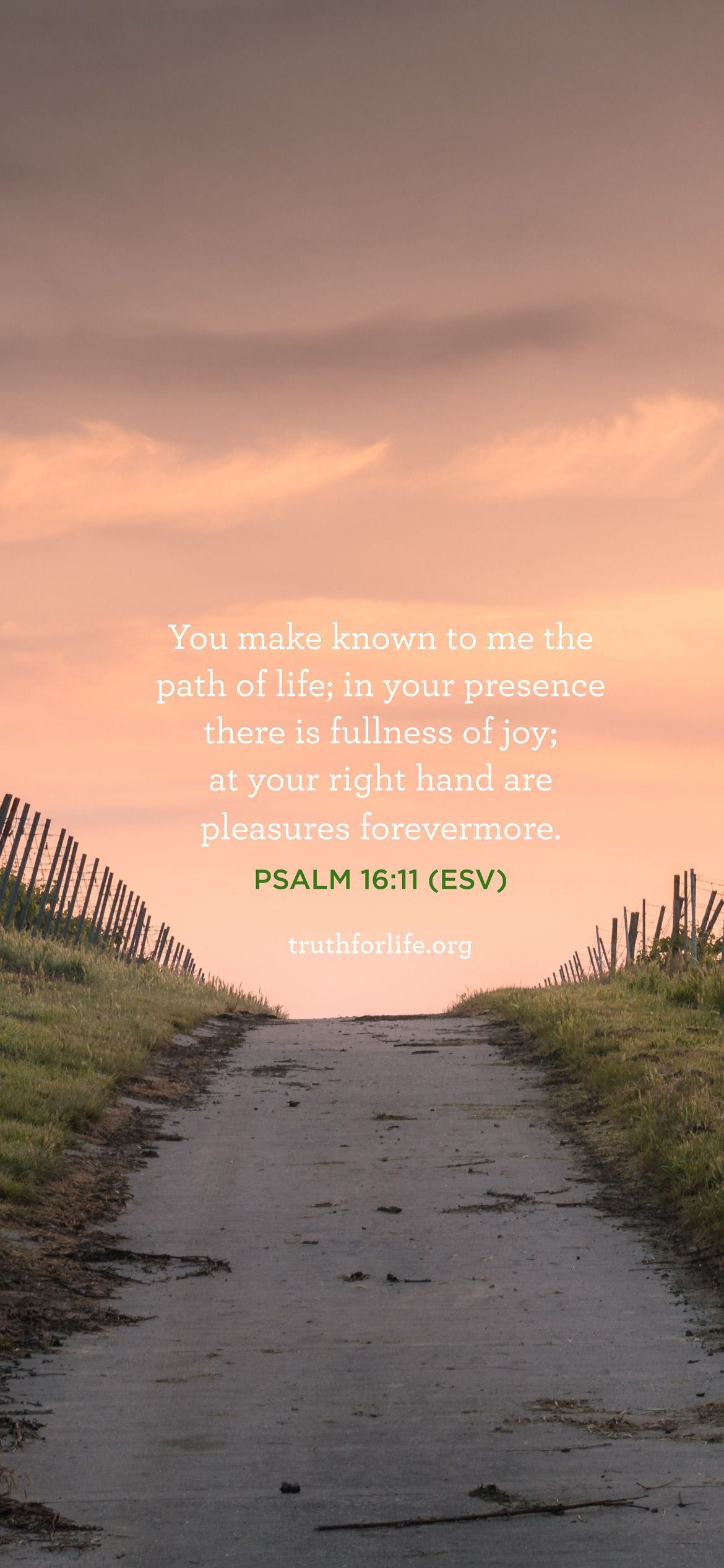 Presence Wallpapers - Top Free Presence Backgrounds - WallpaperAccess