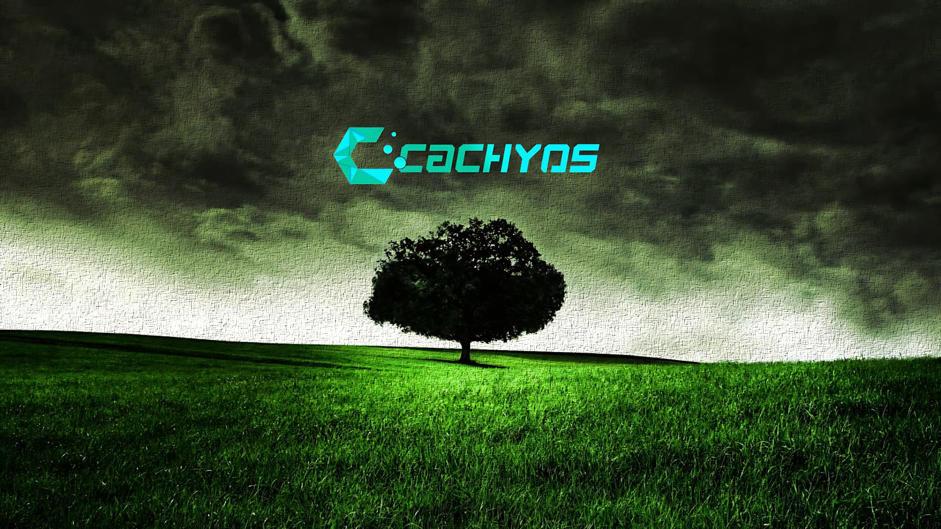 CachyOS Wallpapers - Top Free CachyOS Backgrounds - WallpaperAccess