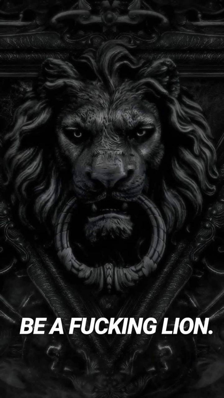 Lion Motivation Wallpapers - Top Free Lion Motivation Backgrounds ...
