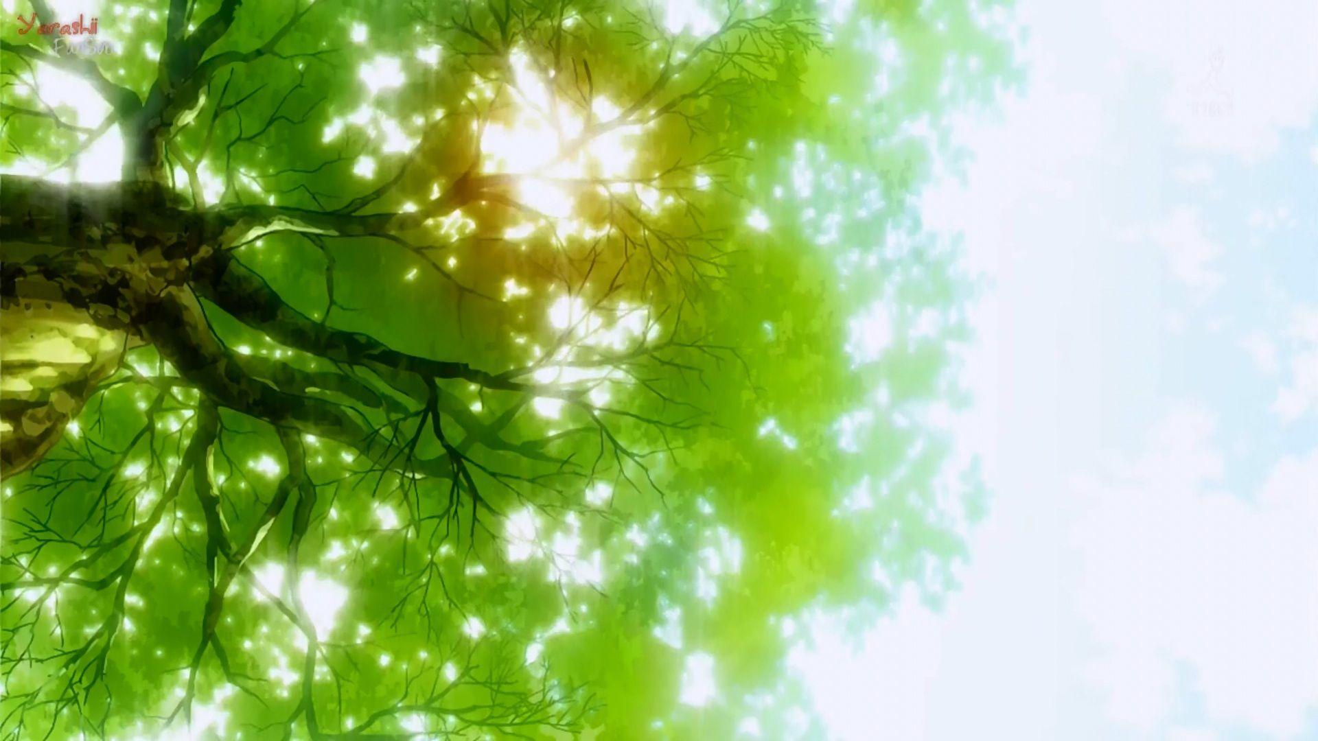 Green Anime Scenery Wallpapers - Top Free Green Anime Scenery ...