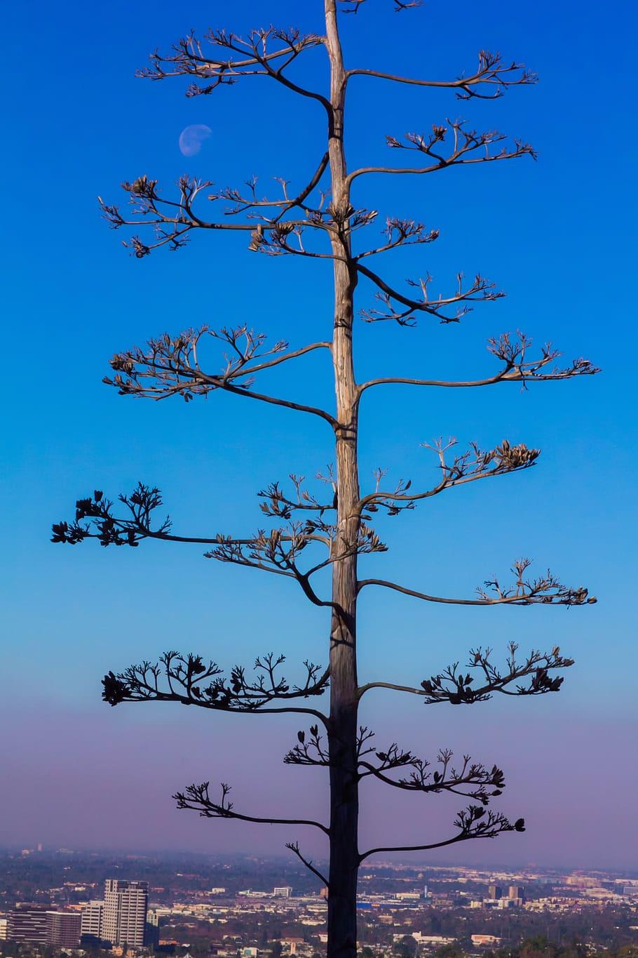 Positive Mindset Wallpapers - Top Free Positive Mindset Backgrounds ...