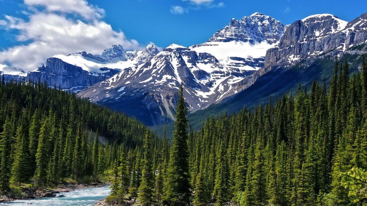Canada Forest Wallpapers - Top Free Canada Forest Backgrounds ...