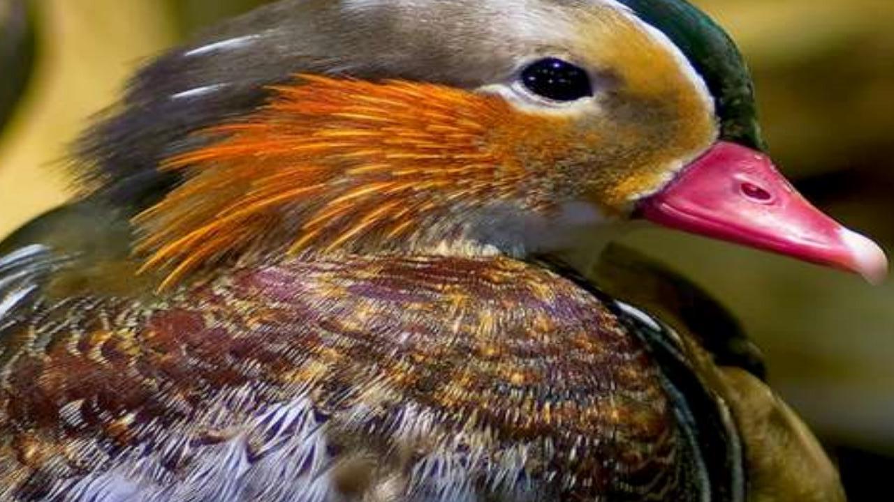 25k Wallpapers - Top Free 25k Backgrounds - WallpaperAccess