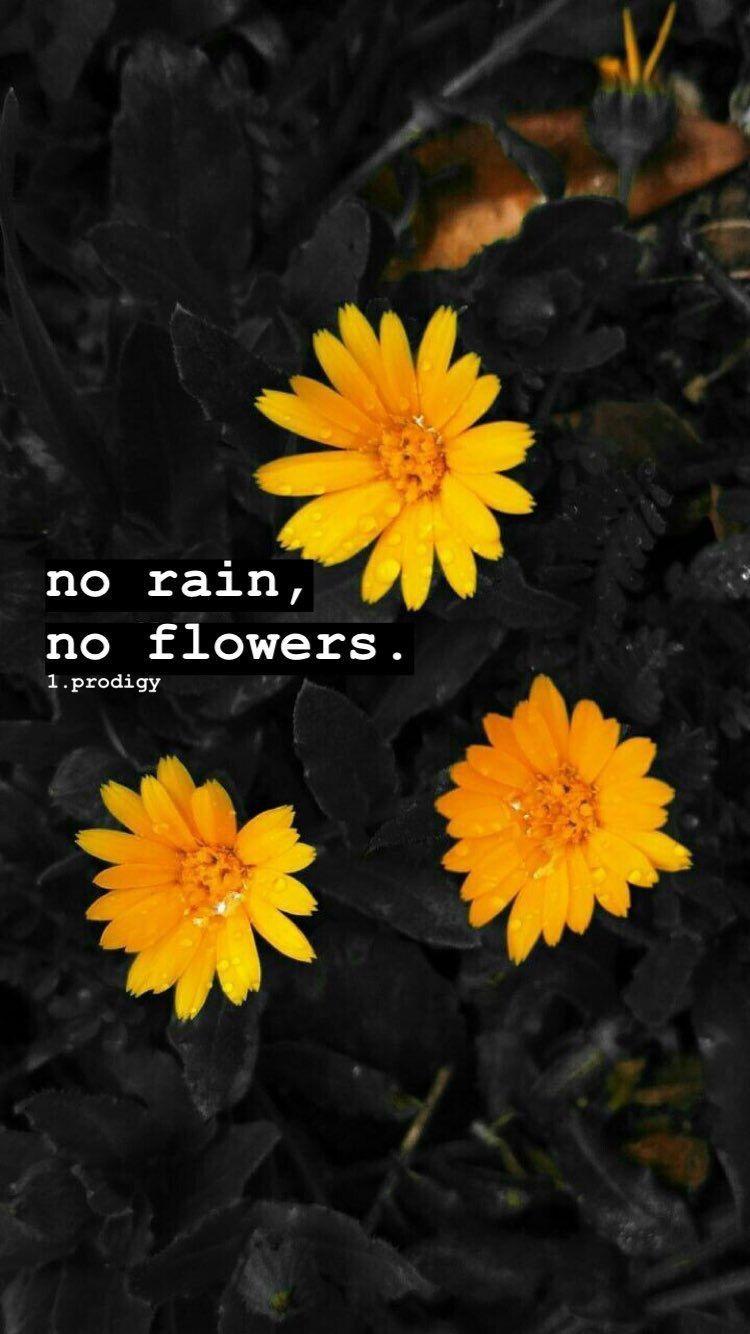 25k Wallpapers - Top Free 25k Backgrounds - WallpaperAccess