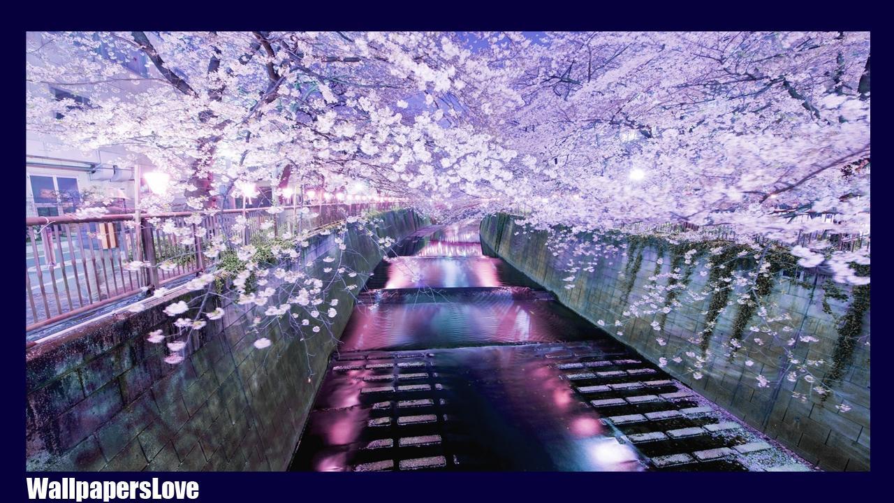 Tokyo Purple Wallpapers - Top Free Tokyo Purple Backgrounds ...
