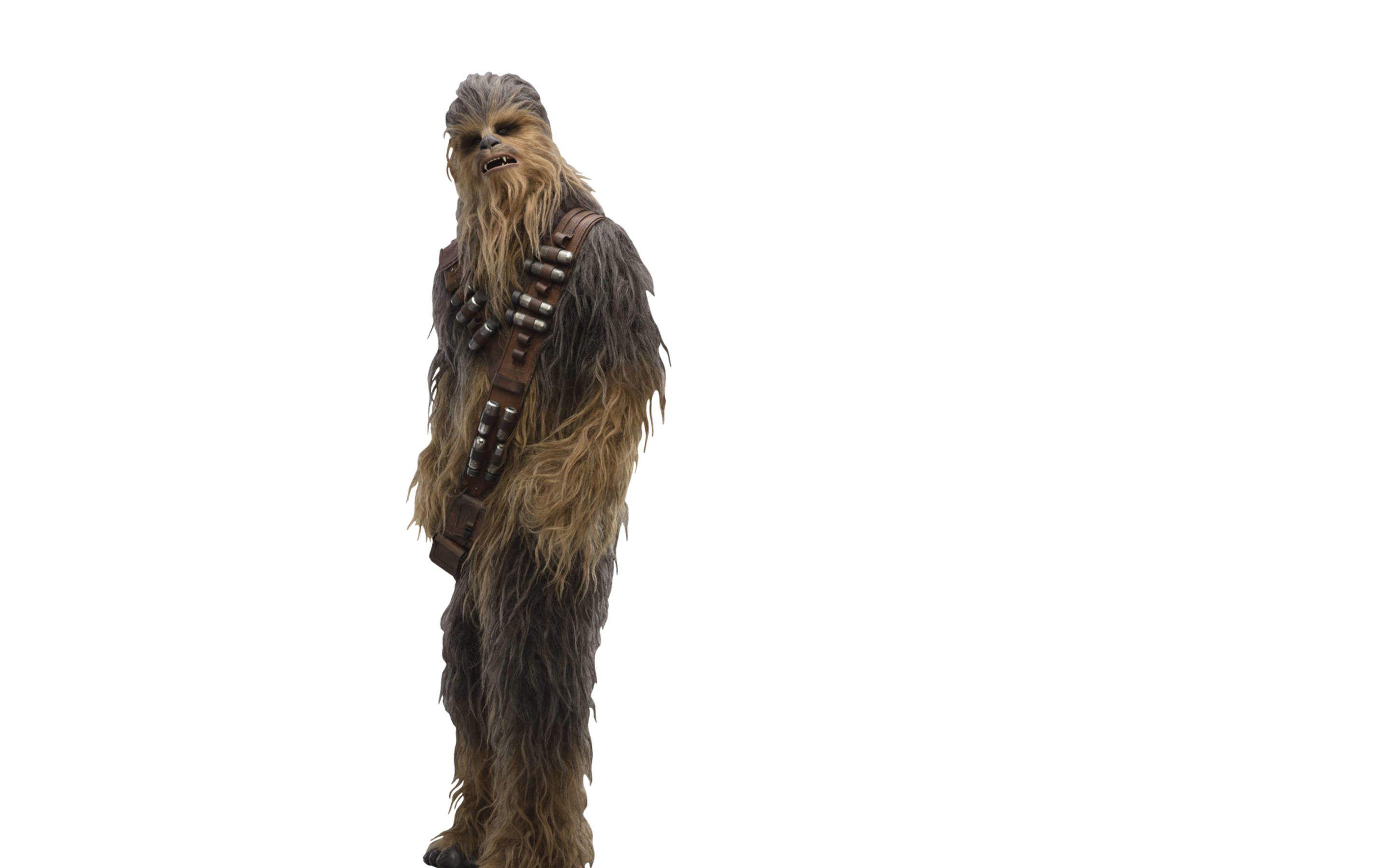 Cute Chewbacca Wallpapers - Top Free Cute Chewbacca Backgrounds ...