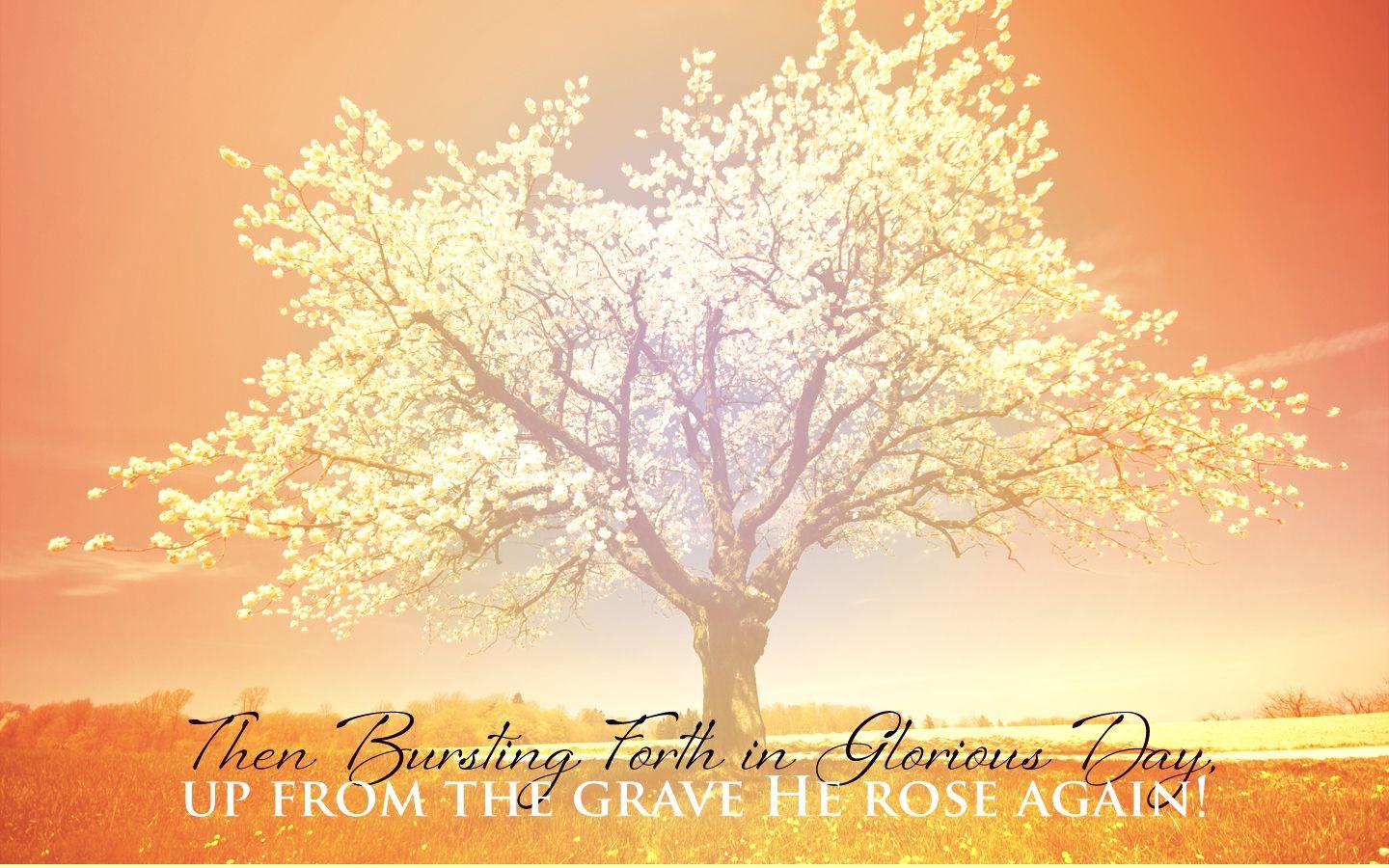 April Easter Wallpapers - Top Free April Easter Backgrounds ...