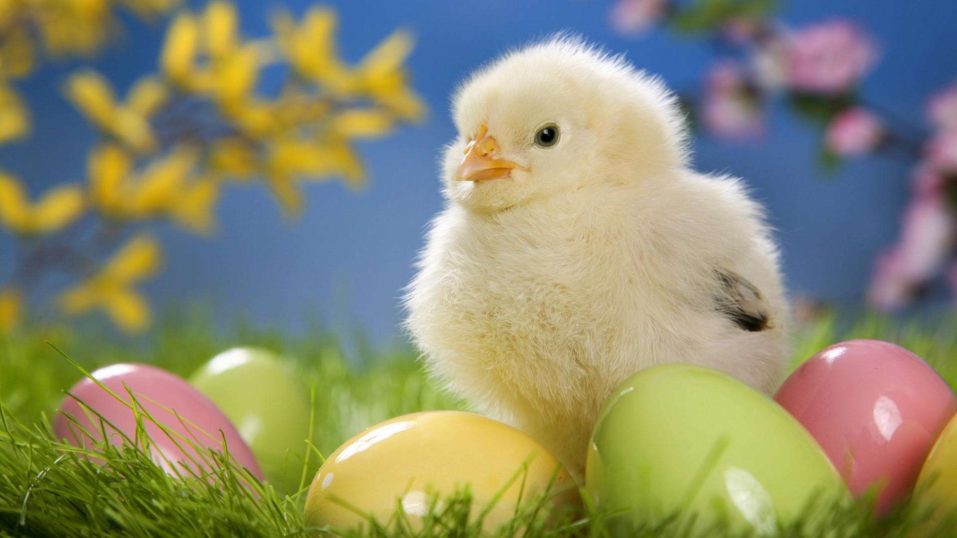Easter Scenes Wallpapers - Top Free Easter Scenes Backgrounds ...