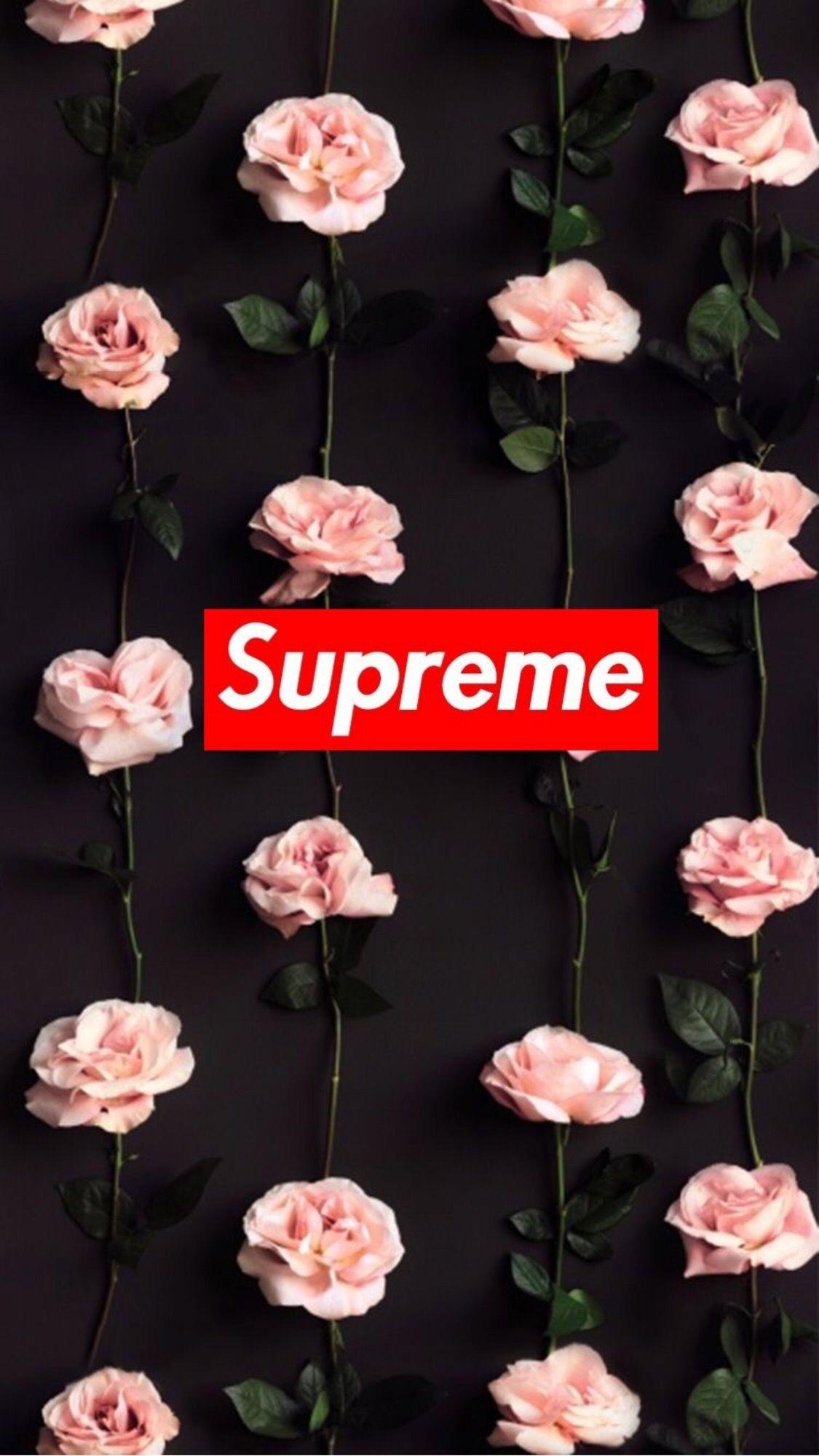 Rose Supreme Wallpapers - Top Free Rose Supreme Backgrounds ...