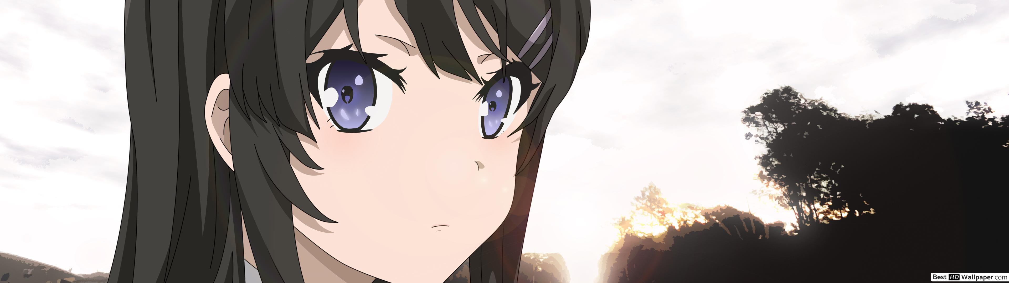 Rascal Does Not Dream of Bunny Girl Senpai Desktop Wallpapers - Top ...