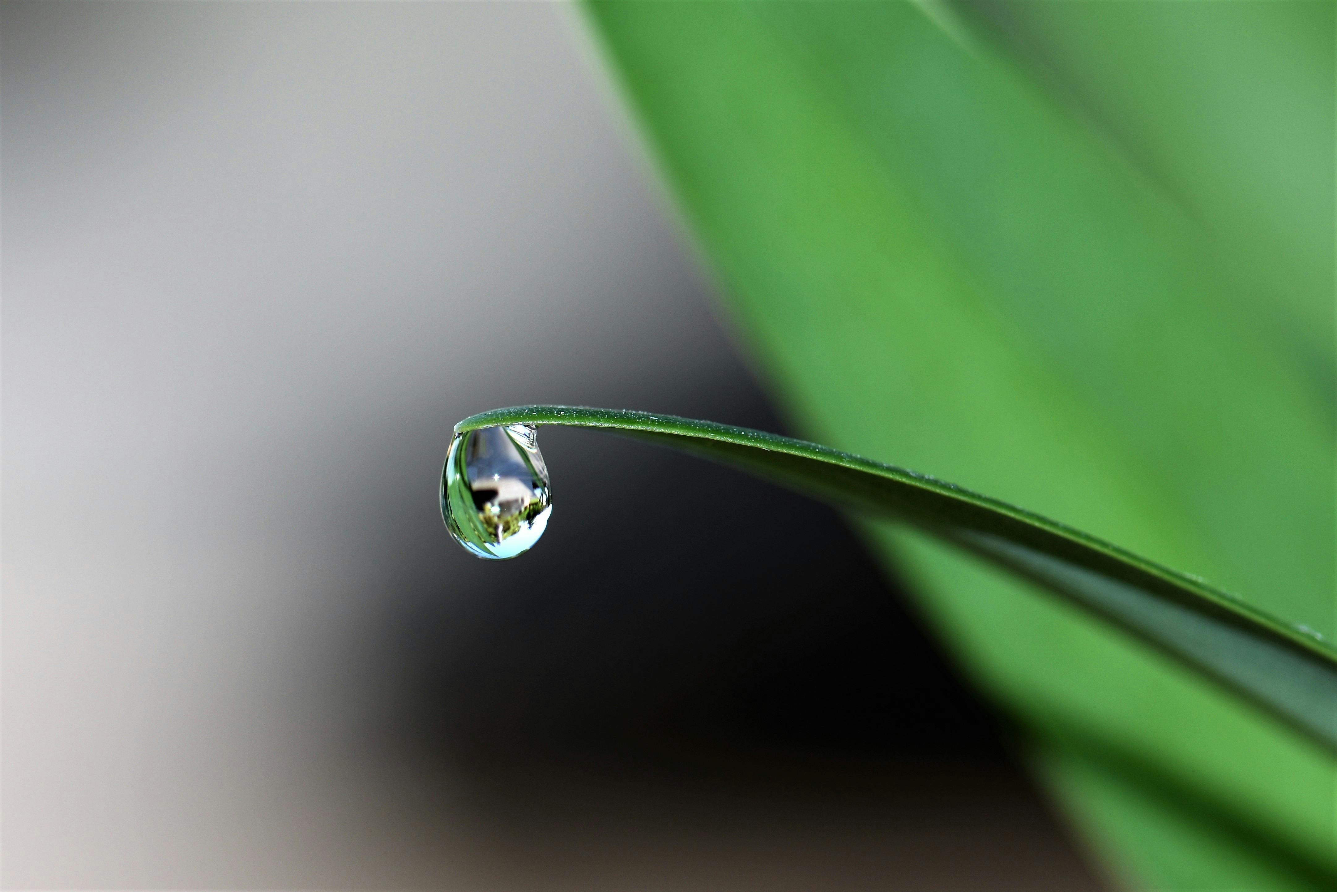 Purity Wallpapers - Top Free Purity Backgrounds - WallpaperAccess