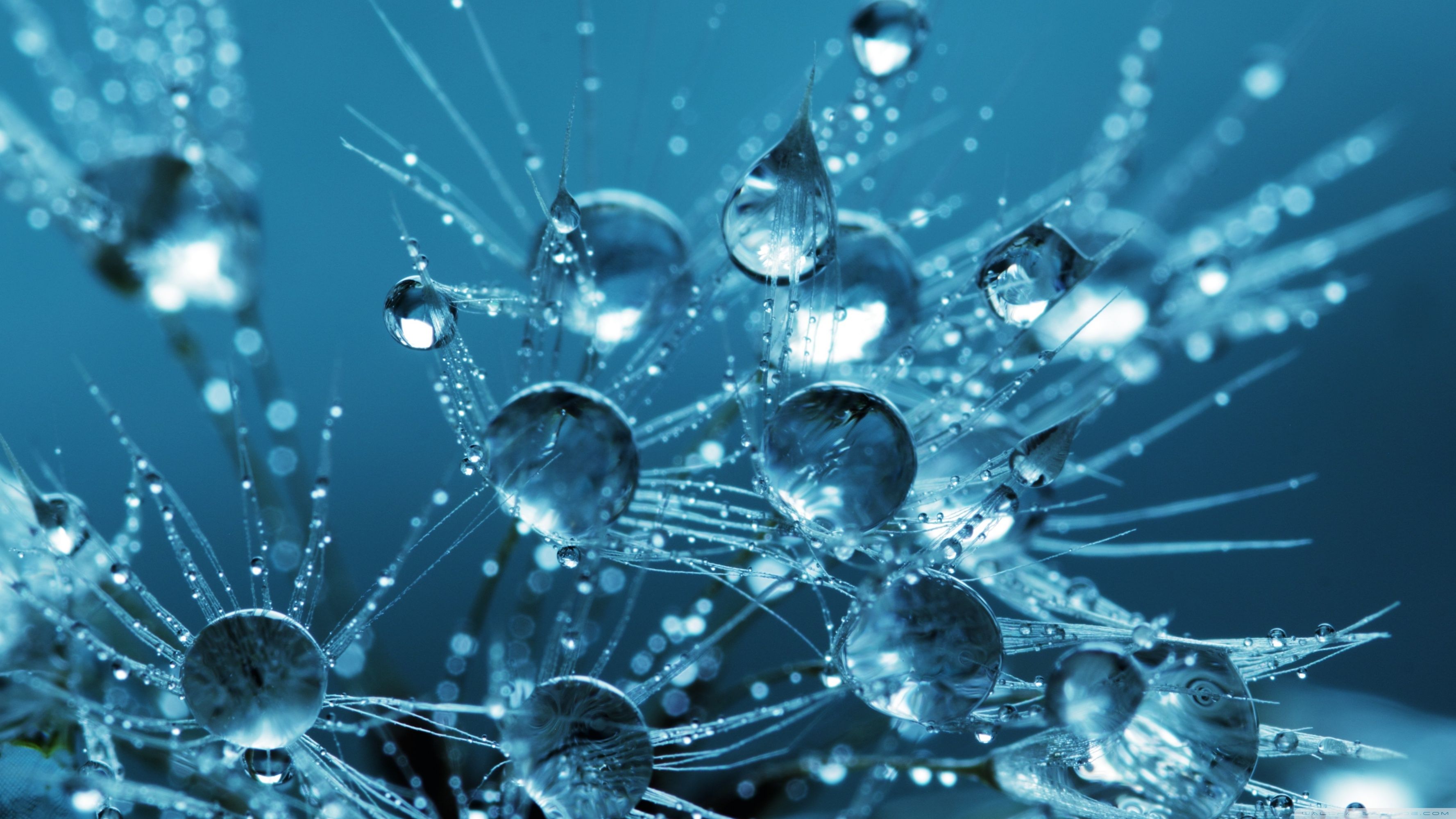 Purity Wallpapers - Top Free Purity Backgrounds - WallpaperAccess