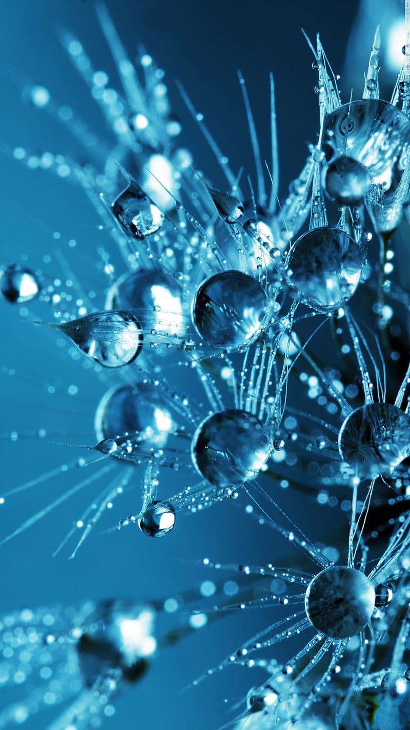 Purity Wallpapers - Top Free Purity Backgrounds - WallpaperAccess