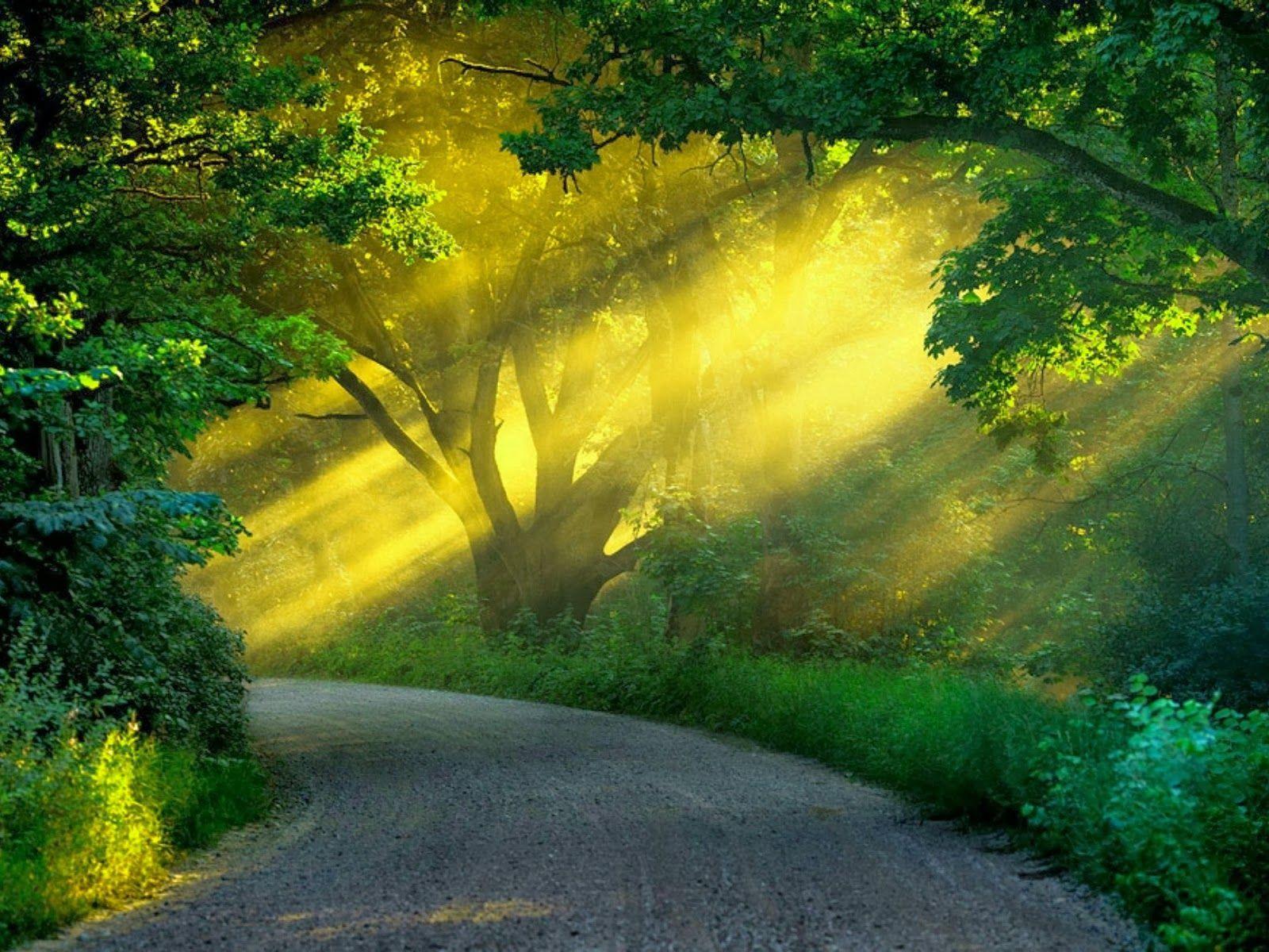 High Resolution Nature Wallpapers Natural Cool Images Vrogue co