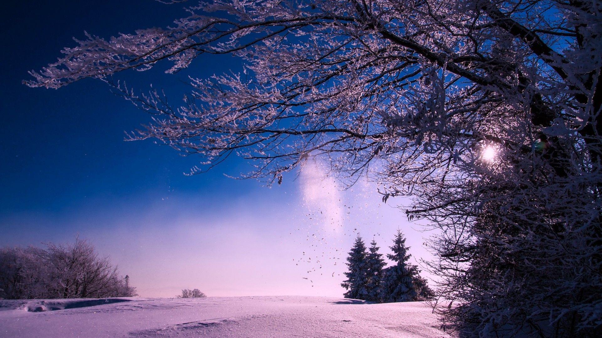 Best Quality Wallpapers - Top Free Best Quality Backgrounds ...