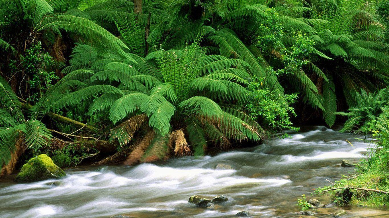 High Quality Nature Wallpapers - Top Free High Quality Nature ...