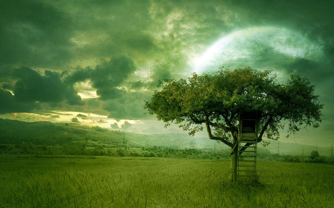 Best Quality Wallpapers - Top Free Best Quality Backgrounds ...