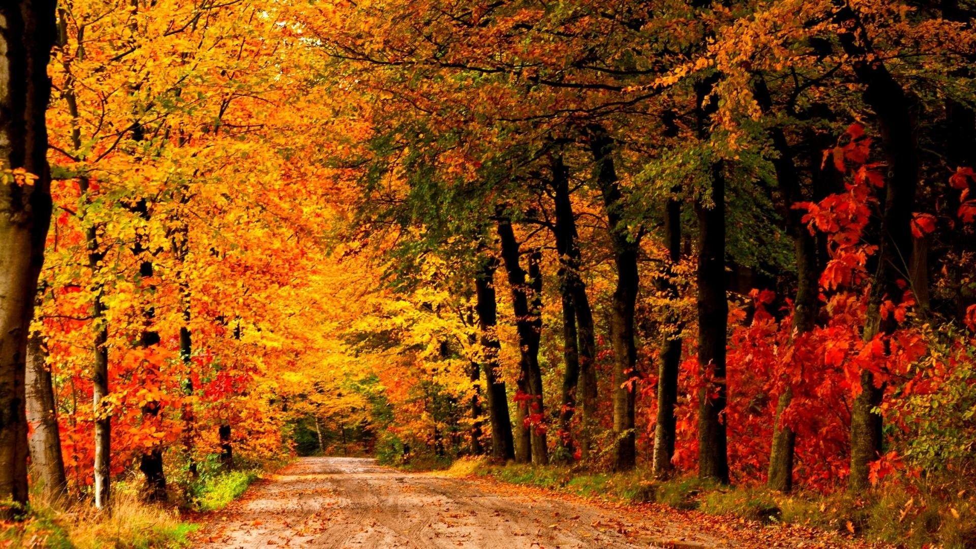 Fall Landscape Wallpapers - Top Free Fall Landscape Backgrounds ...