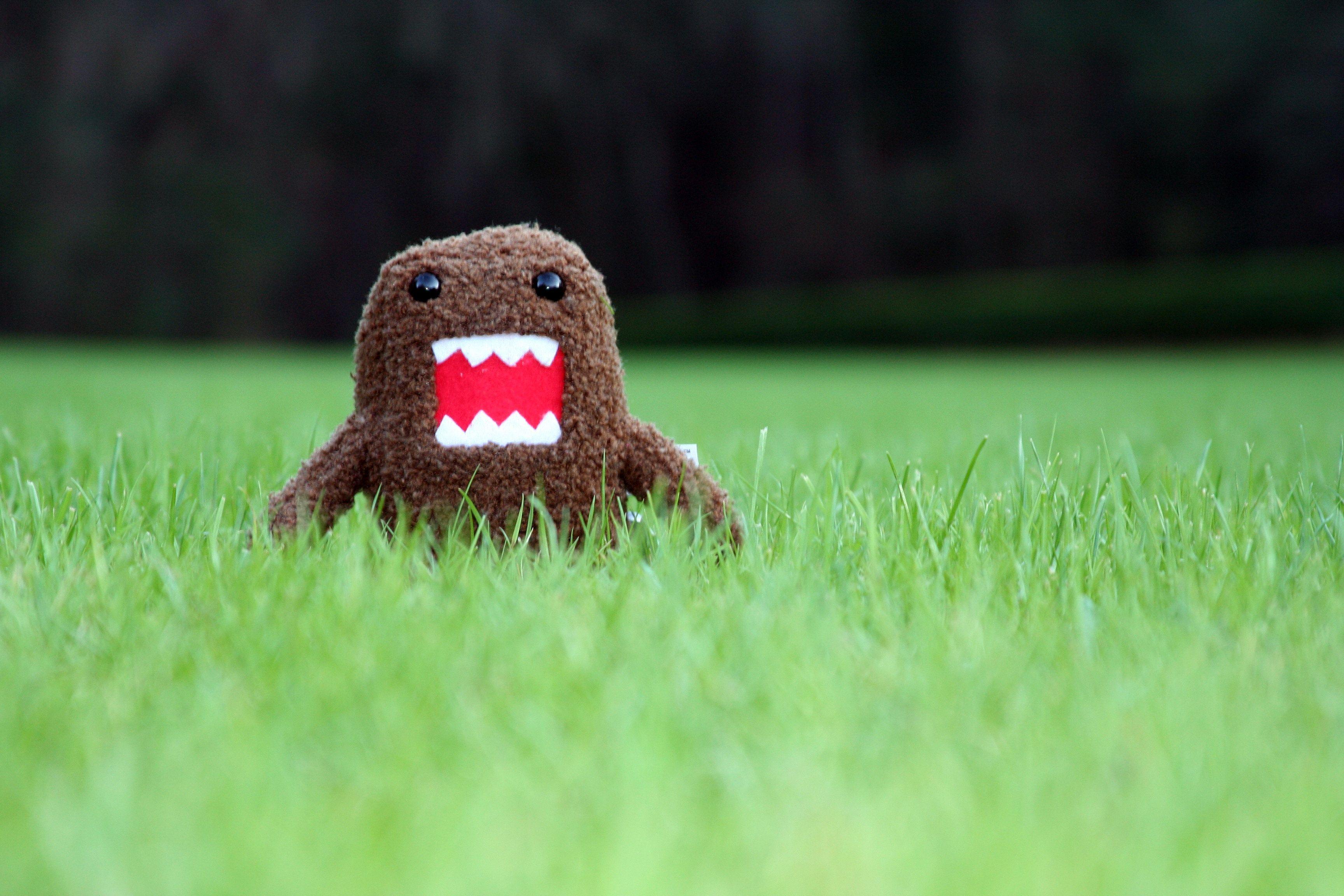 Domo Wallpapers - Top Free Domo Backgrounds - WallpaperAccess