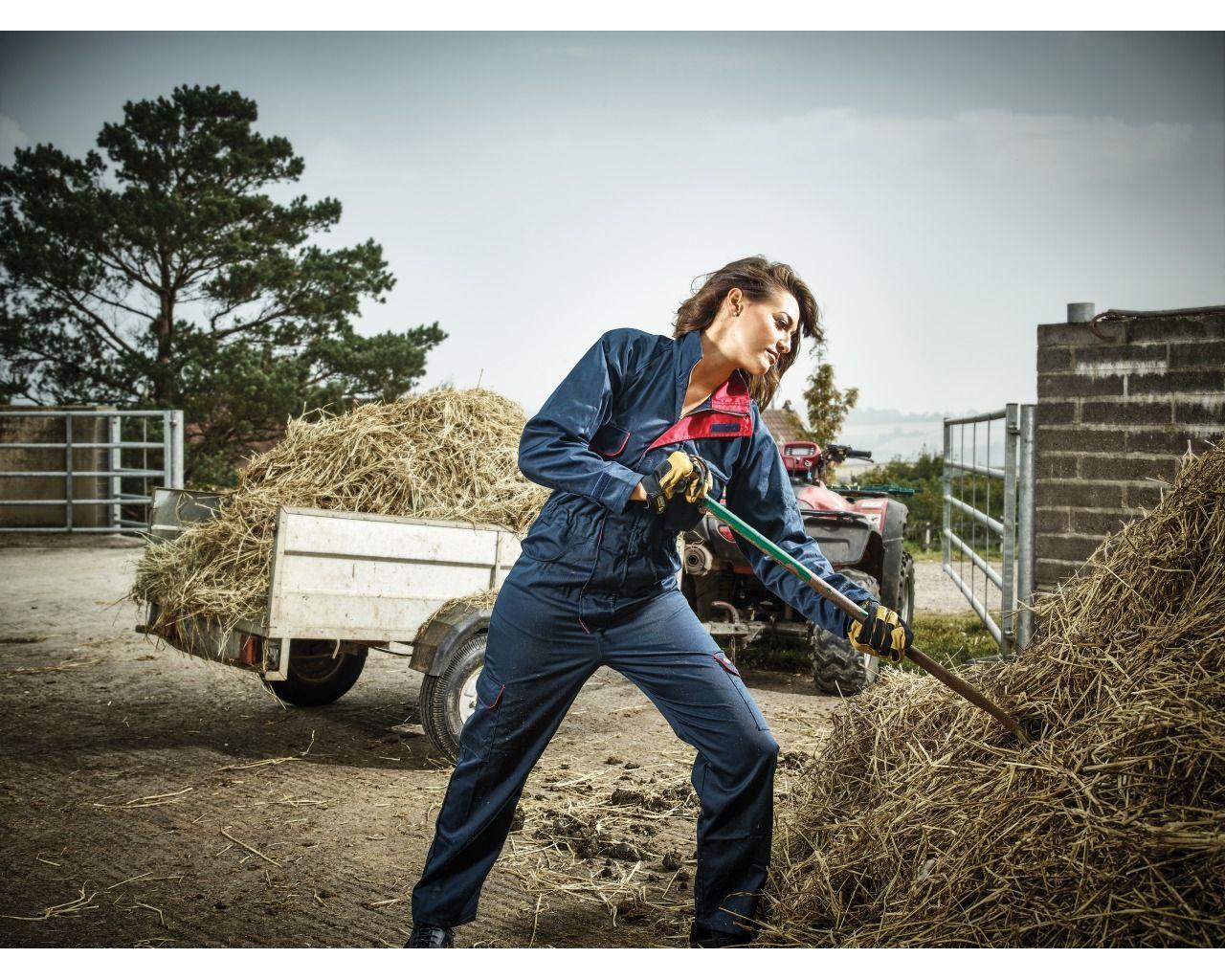 Dickies Wallpapers - Top Free Dickies Backgrounds - WallpaperAccess