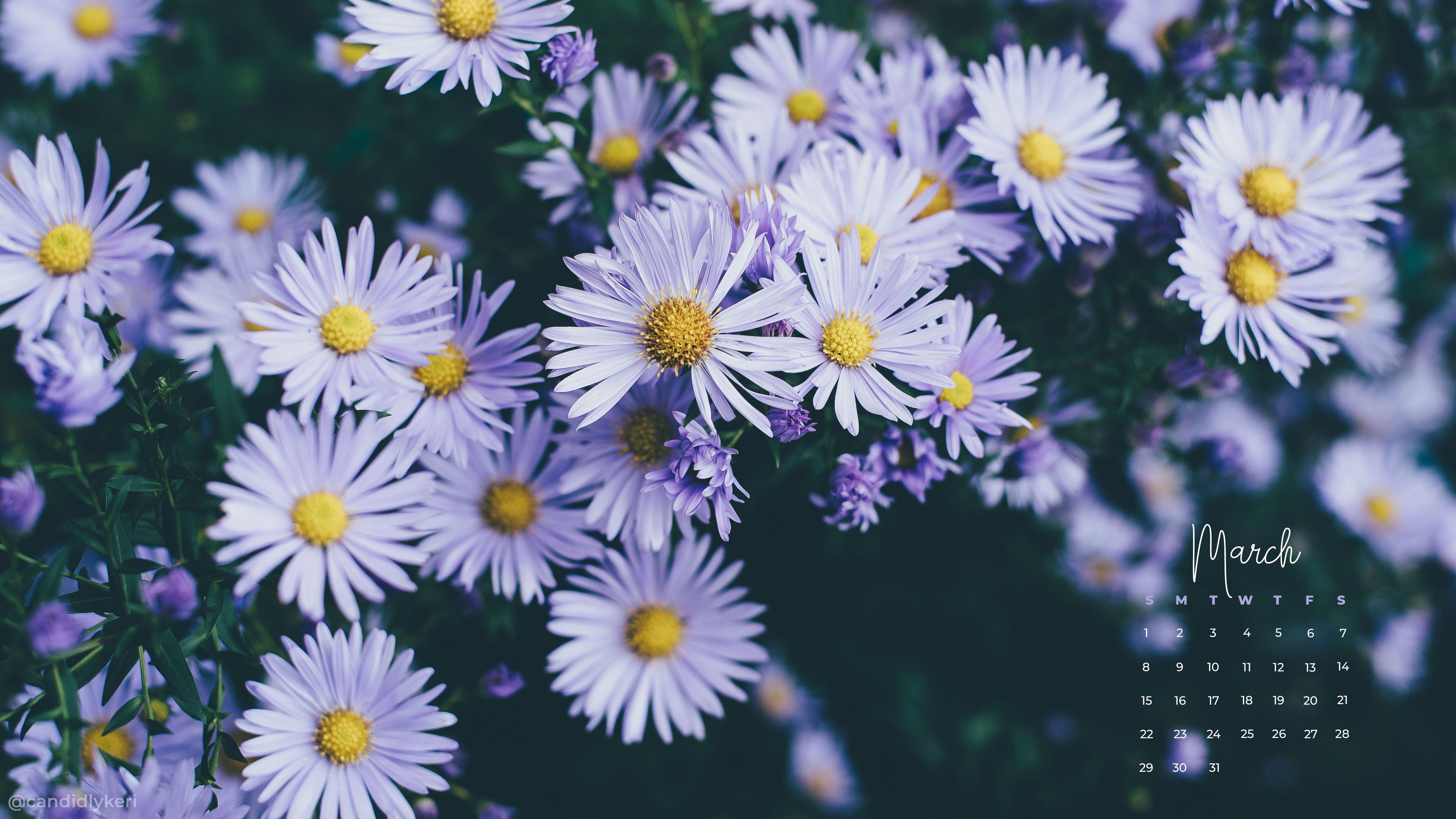 Aesthetic Rose Desktop Wallpapers - Top Free Aesthetic Rose Desktop ...