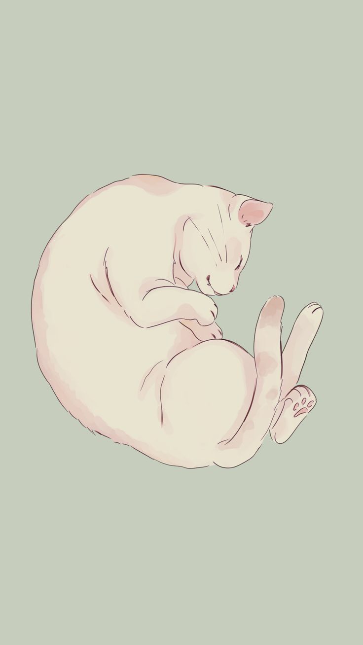 Cozy Cat Wallpapers - Top Free Cozy Cat Backgrounds - WallpaperAccess