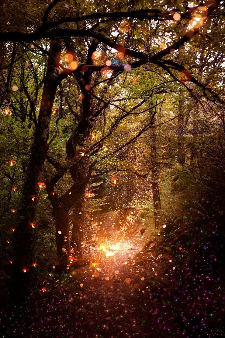 To The Forest of Firefly Lights Wallpapers - Top Free To The Forest of ...
