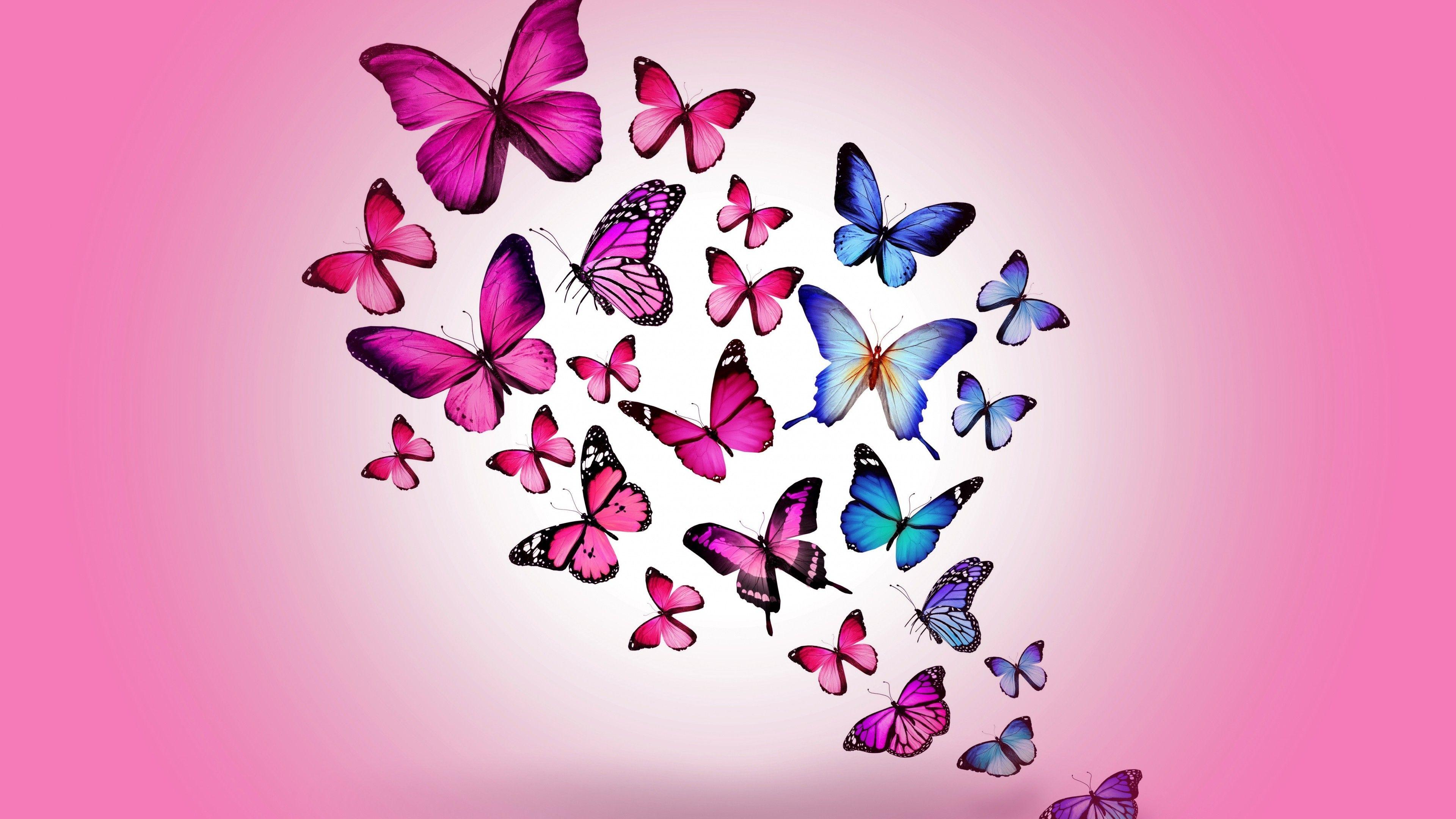 Girly Butterfly Wallpapers - Top Free Girly Butterfly Backgrounds ...