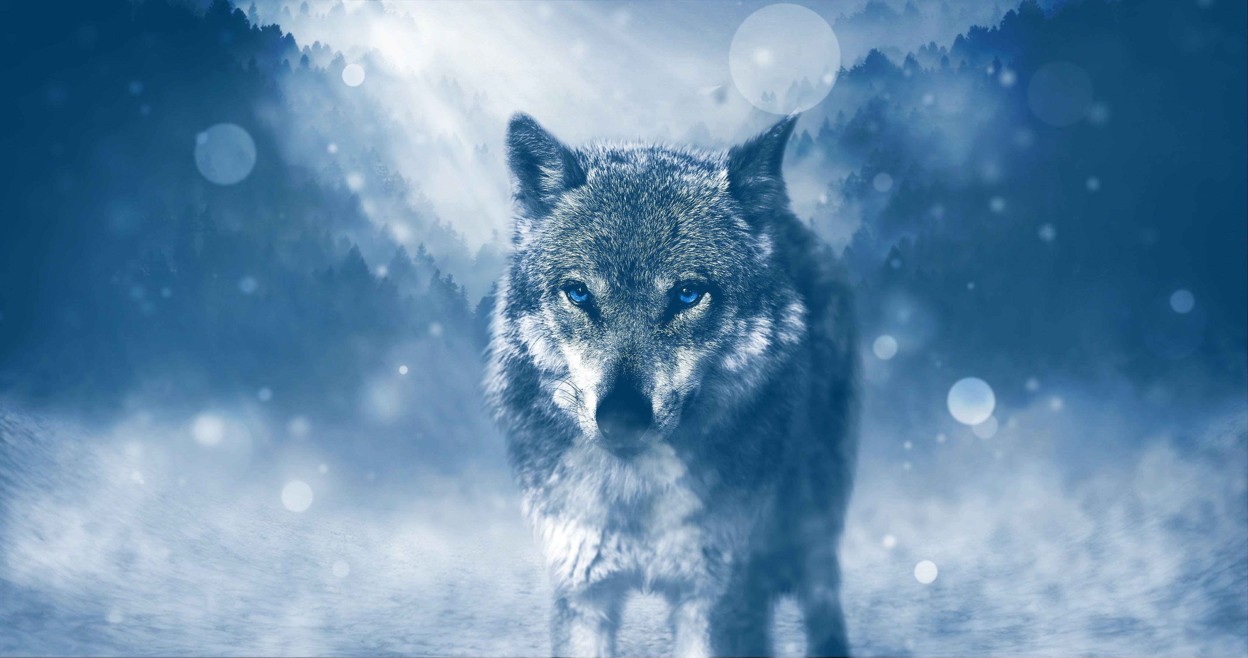 Computer Wolf Wallpapers - Top Free Computer Wolf Backgrounds ...